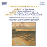 Famous Symphonic Poems Vol. 1 - Naxos: 8553243 - download | Presto Music