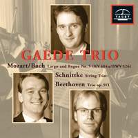 The Gaede Trio Series, Vol. 2 - Tacet: TACET064DIG - download | Presto ...