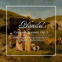 Handel: Concerti Grossi, Op. 3 - Halidon: 8030615159727 - download | Presto Music