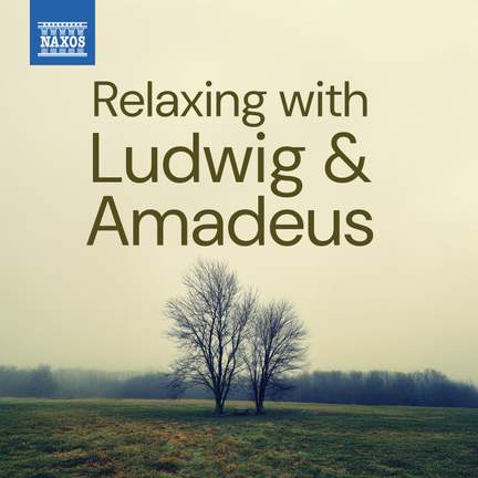 Relaxing With Ludwig & Amadeus - Naxos: 9.00936 - download | Presto Music